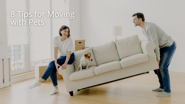 8 Tips for Moving with Pets | Karen Tavenner